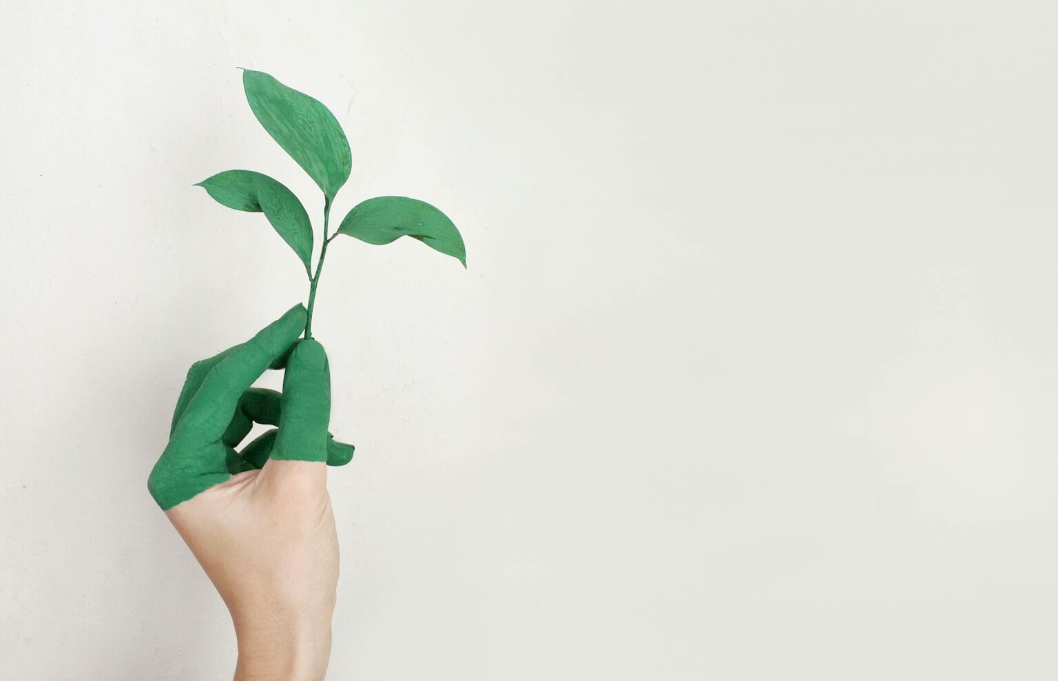 The 20 Best Eco-Friendly Products for Sustainable Living